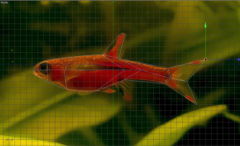 I Try to Model the Fish in 3d Part 1 – Diary of Dennis