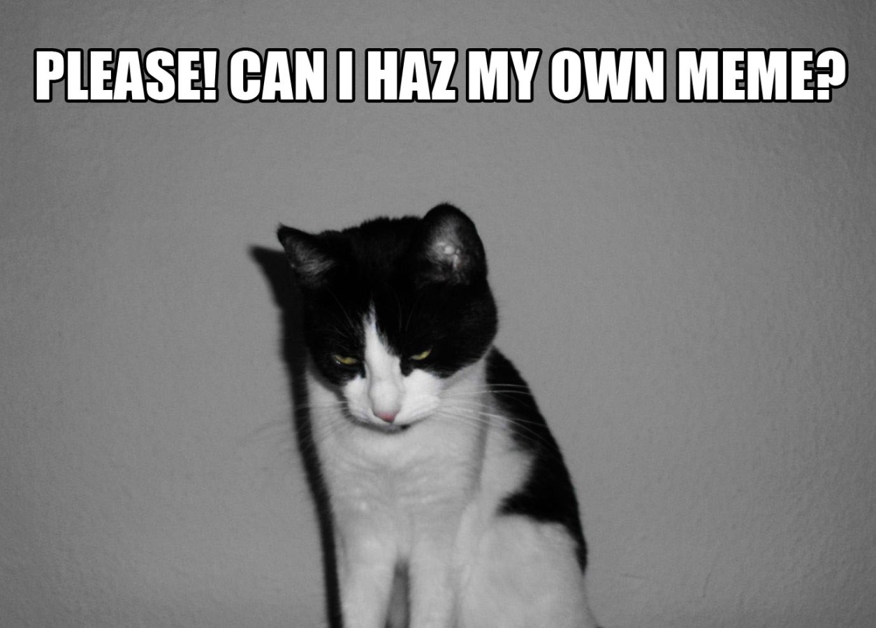 The Most Commonly Used Meme Font And A Tutorial How To Create A Meme ...