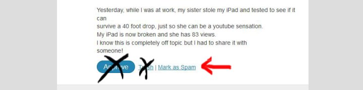 Hilarious Spam Comment Examples Part 2 – Diary of Dennis