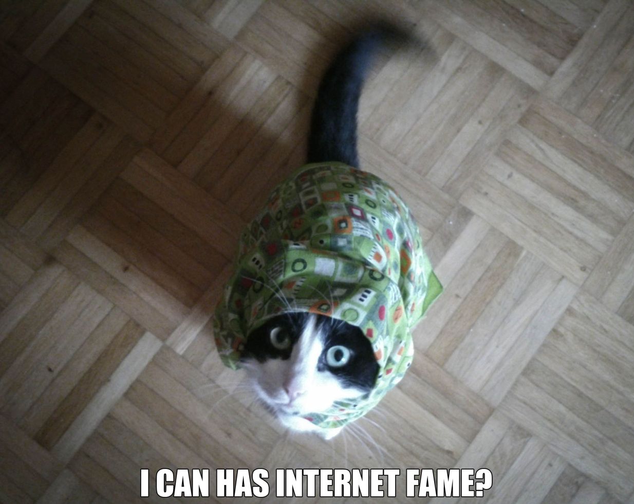 What Are Internet Memes And Why Did They Become So Popular? – Diary of ...