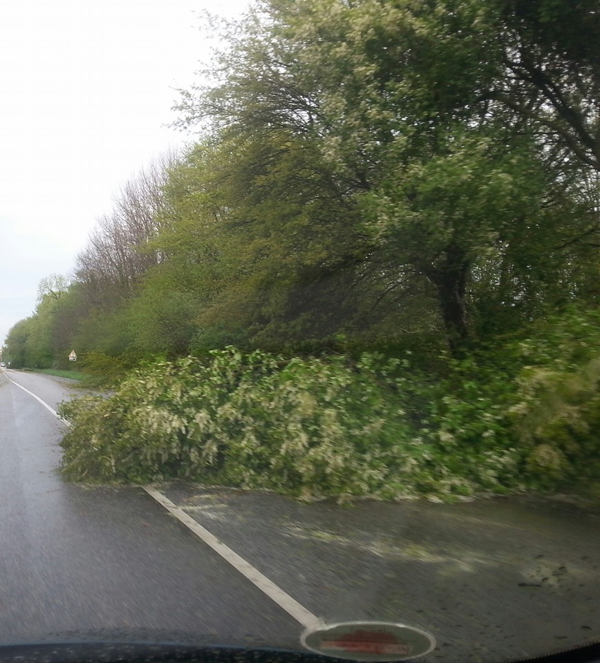 Today We Had A Heavy And Destructive Thunderstorm in Northern Germany ...