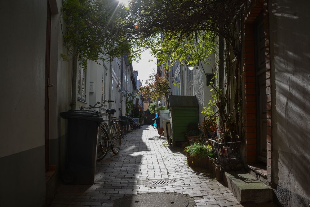 Beautiful Narrow Alley – Diary of Dennis